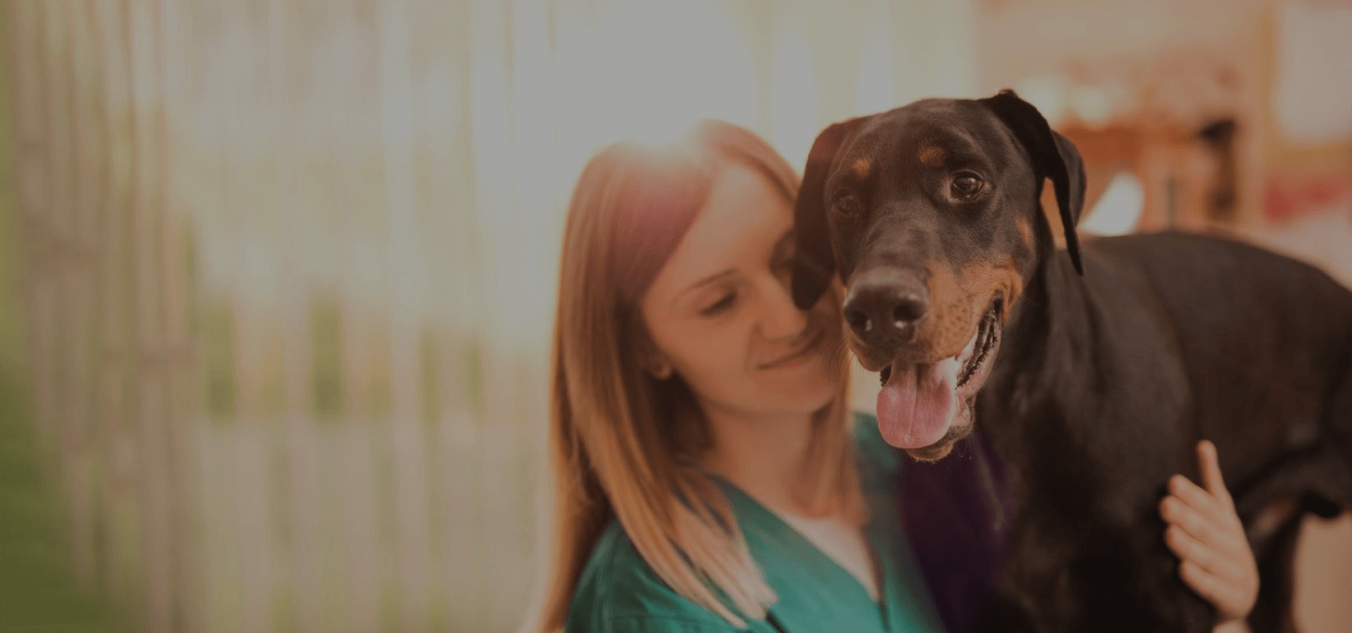 Vet Careers in Sparks | Join Sage Veterinary Care Team 89436