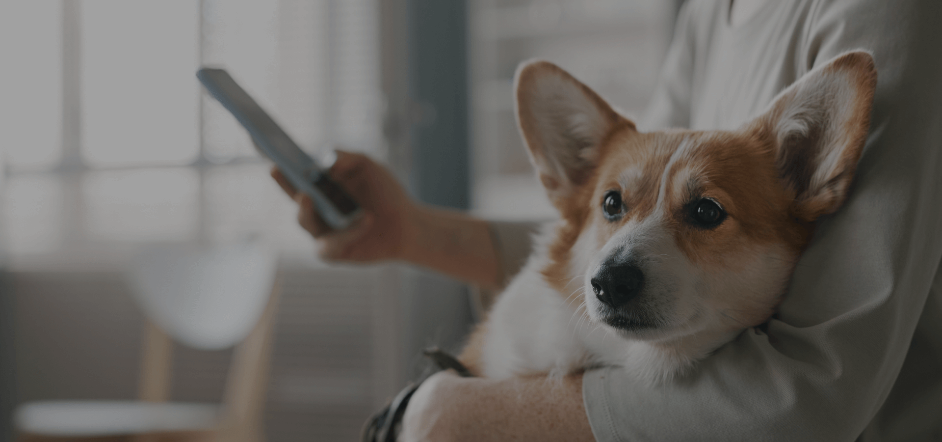 Forms - Sage Veterinary Care